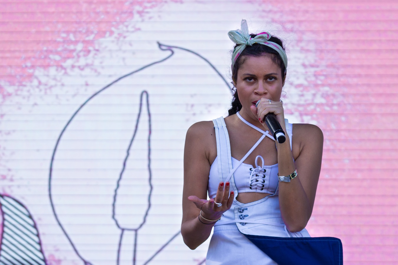 Chile's Primavera Fauna Is South America's Polite Hipsterfest | Live ...